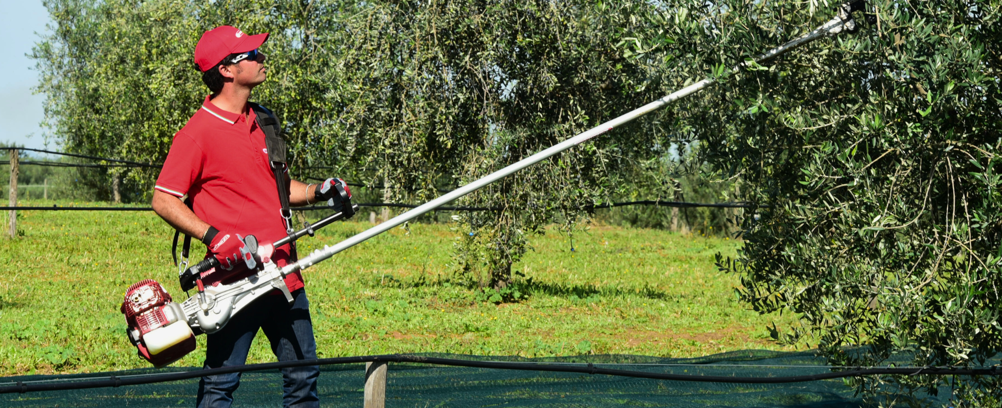 Cifarelli: professional equipment for agriculture and gardening