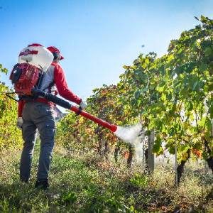 Continuous innovation: the new accessories for the range of Cifarelli ...