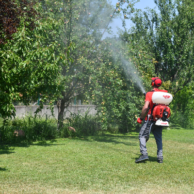 Mist blower L3Evo - Powerful, professional and easy to use